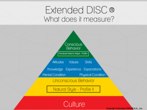 What is Extended DISC® – Extended DISC®